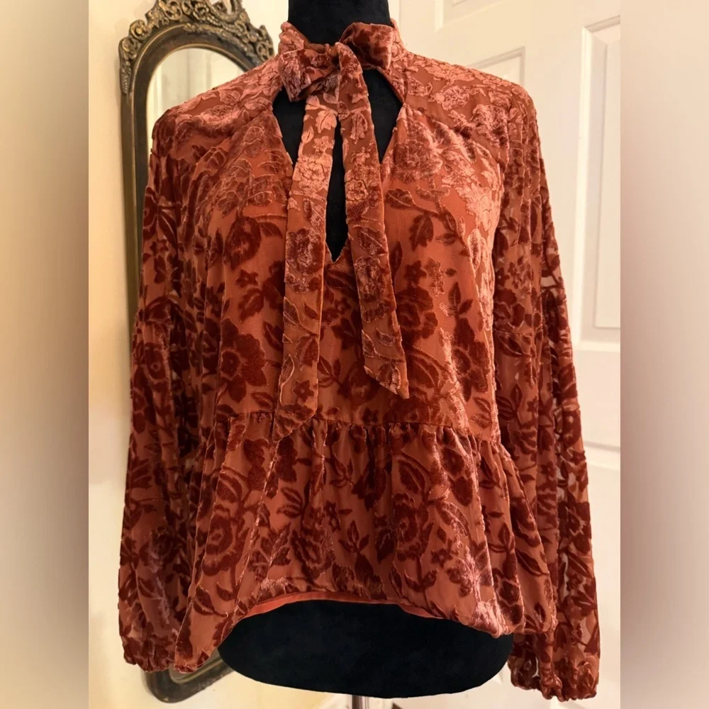 Anthropologie | Tops | Anthropologie Rust Red Velvet Tie Front Blouse ...